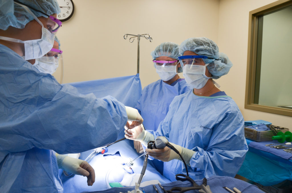 Bachelor of Science in Surgical Assisting - Bellin College